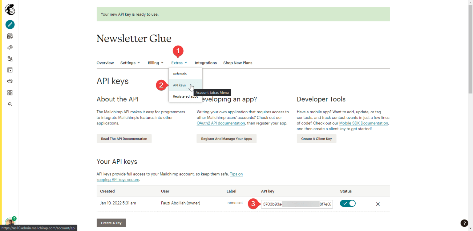 Mailchimp Integration with WordPress using Newsletter Glue Plugin