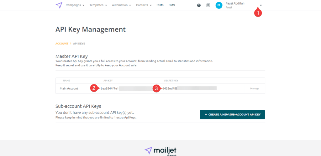 Mailjet Integration with WordPress using Newsletter Glue Plugin