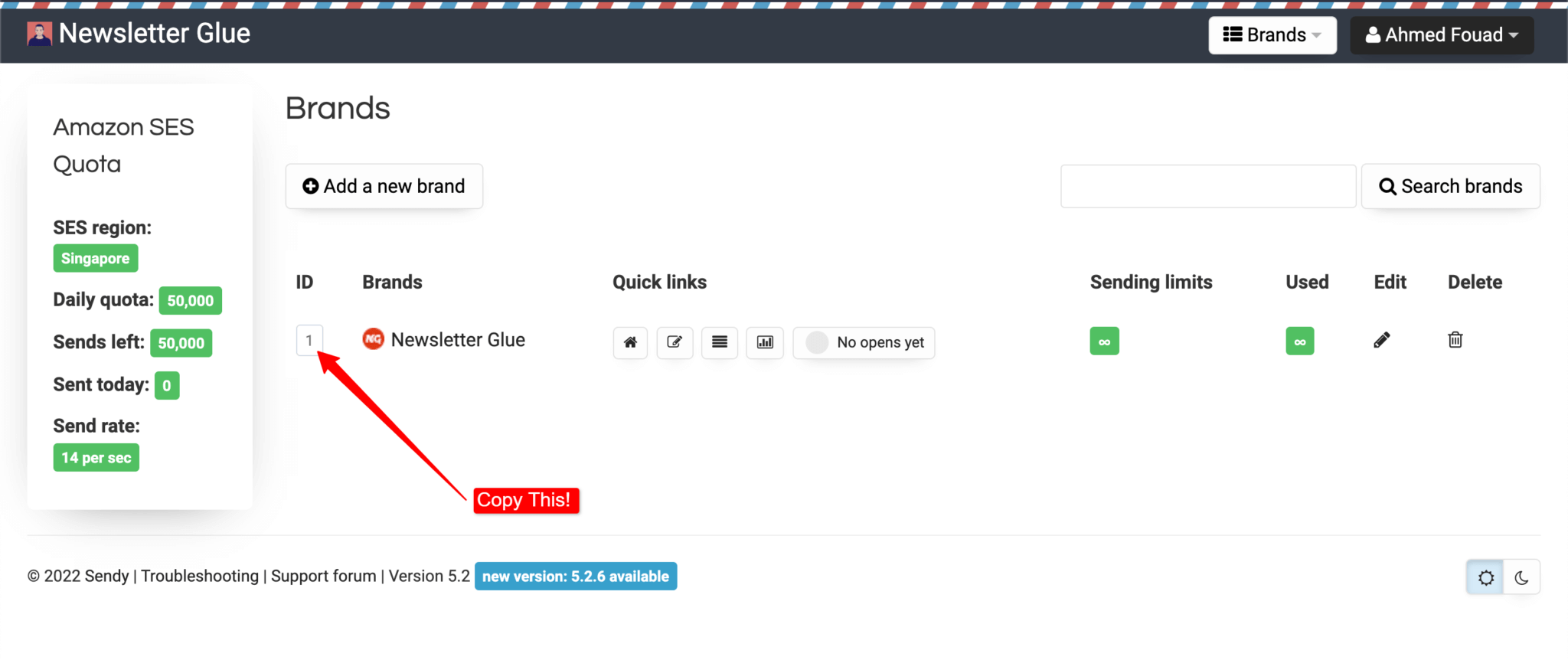 Sendy Integration with WordPress using Newsletter Glue Plugin