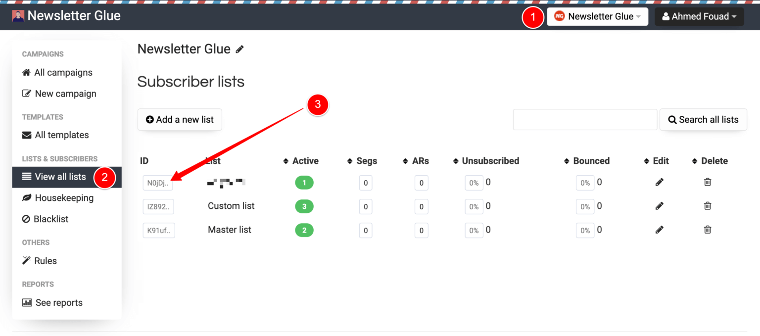 Sendy Integration with WordPress using Newsletter Glue Plugin